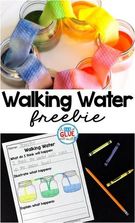 Walking Water Science Activity Kids., Teacher Idea